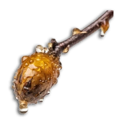 Tree Sap | Icarus Wiki | Fandom