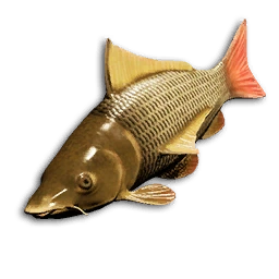 Pearl Perch | Icarus Wiki | Fandom
