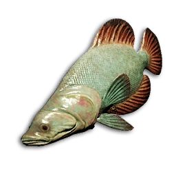 Crystal Wrasse | Icarus Wiki | Fandom