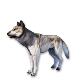 Snow Wolf | Icarus Wiki | Fandom