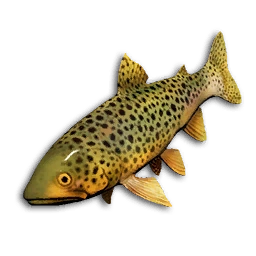 Category:Fish | Icarus Wiki | Fandom