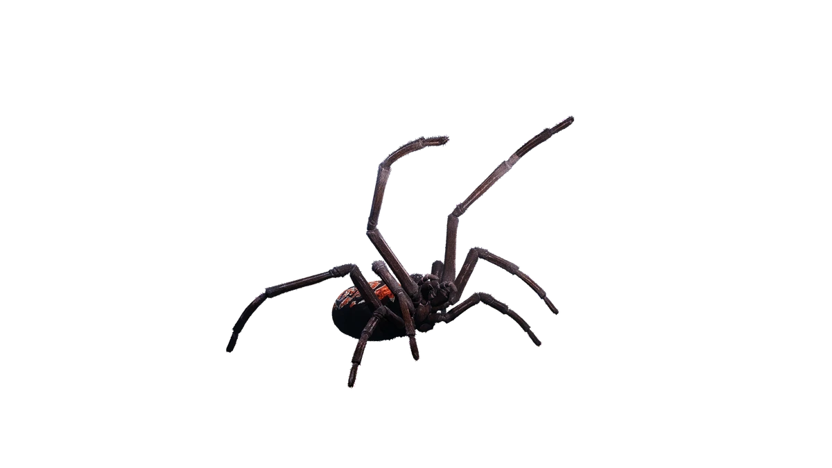 Spider | Icarus Wiki | Fandom