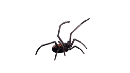 Spider | Icarus Wiki | Fandom
