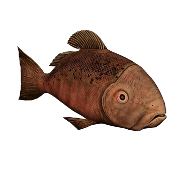 Fish 01 | Icarus Wiki | Fandom