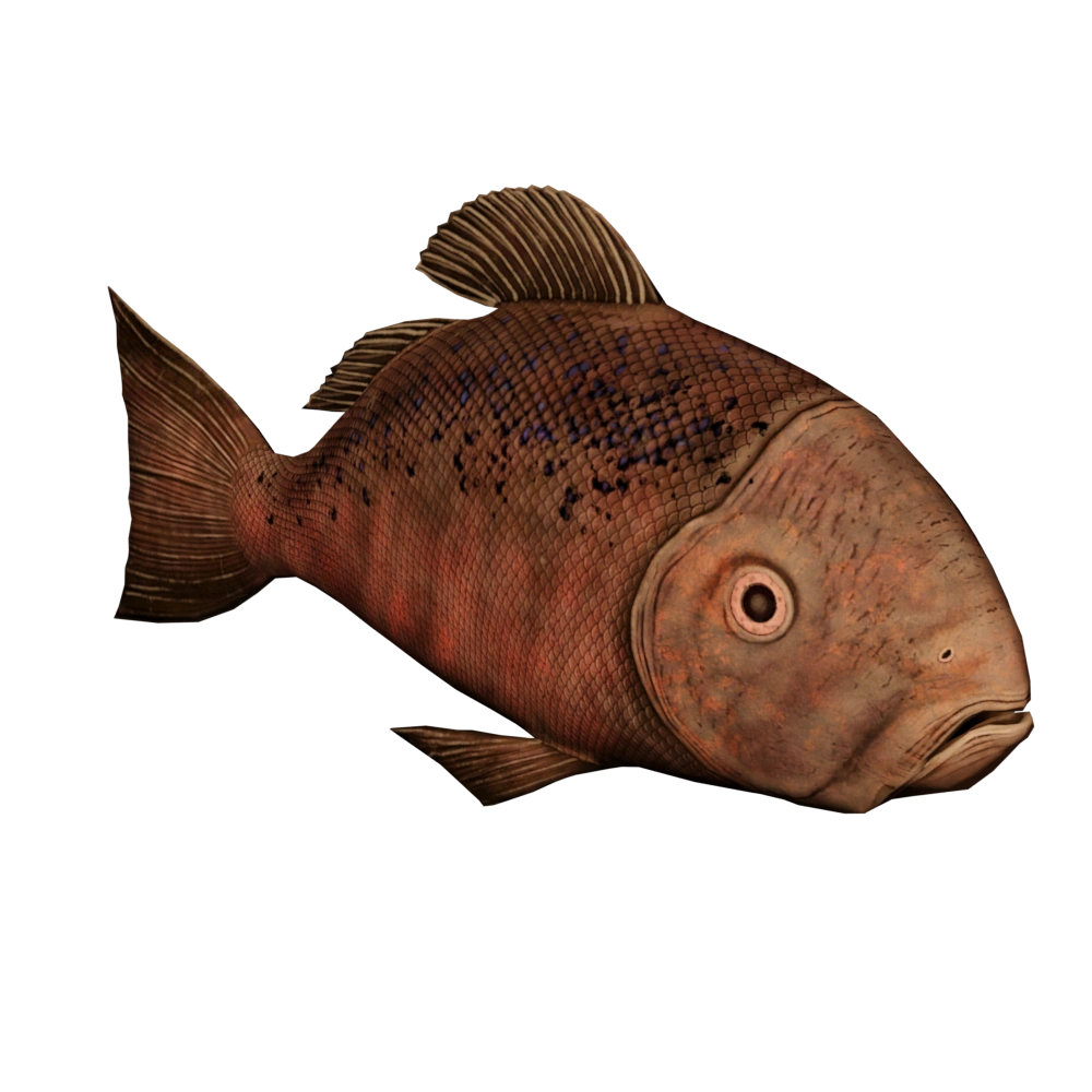 Fish 01 | Icarus Wiki | Fandom