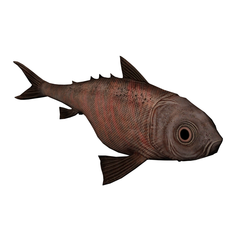 Fish 02 | Icarus Wiki | Fandom
