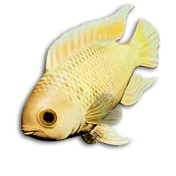 Pearl Diano | Icarus Wiki | Fandom