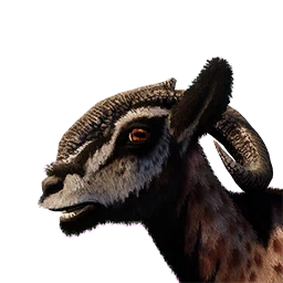 Chala Vestige | Icarus Wiki | Fandom