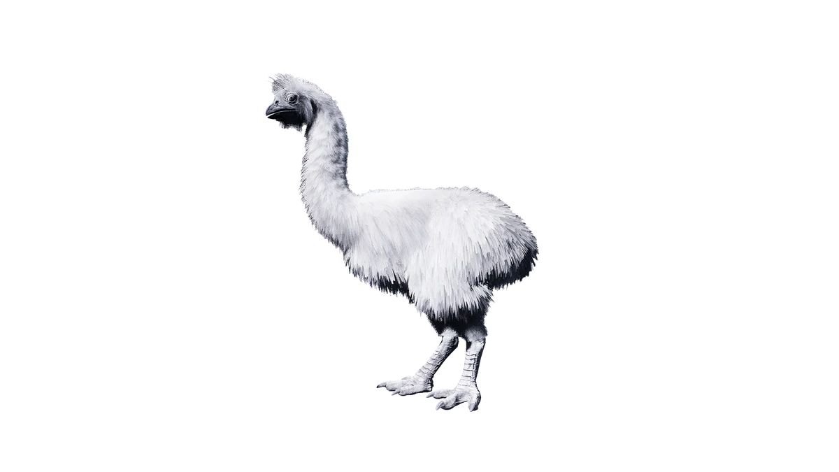 Arctic Moa | Icarus Wiki | Fandom