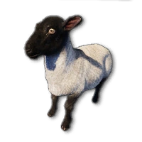 Sheep | Icarus Wiki | Fandom