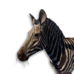 Zebra Vestige | Icarus Wiki | Fandom