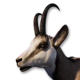 Chamois Vestige | Icarus Wiki | Fandom