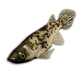 Spotted Tetra | Icarus Wiki | Fandom