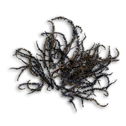 Bramble Bush | Icarus Wiki | Fandom