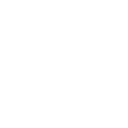 Skins | Ice Dodo Wiki | Fandom