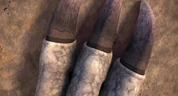 Baryonyx | Ice Age Wiki | Fandom