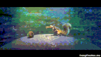 Scrat | Ice Age Wiki | Fandom