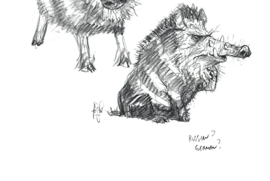 how to draw ice age squint