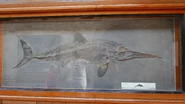 Ichthyosaur | Ice Age Wiki | Fandom