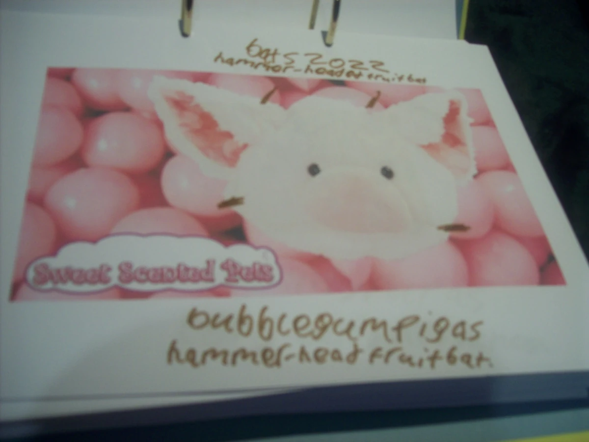 Bats (2022) | The Ice Age Fanon Wiki | Fandom