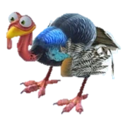 Turkey | Ice Age Village Wiki | Fandom