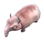 Trunkless Start | Ice Age Village Wiki | Fandom