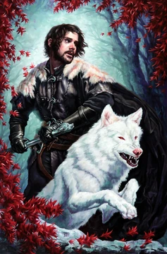 jon snow description