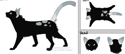 Shadowwing | IceClan Roleplaying Wiki | Fandom