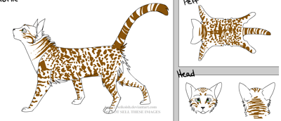 Raccoonpaw | IceClan Roleplaying Wiki | Fandom