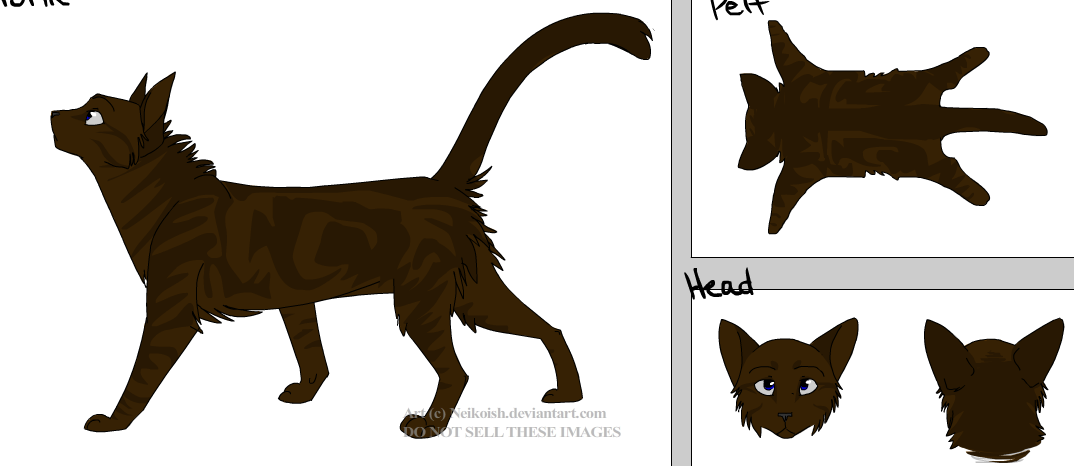 Tigerstrike | IceClan Roleplaying Wiki | Fandom