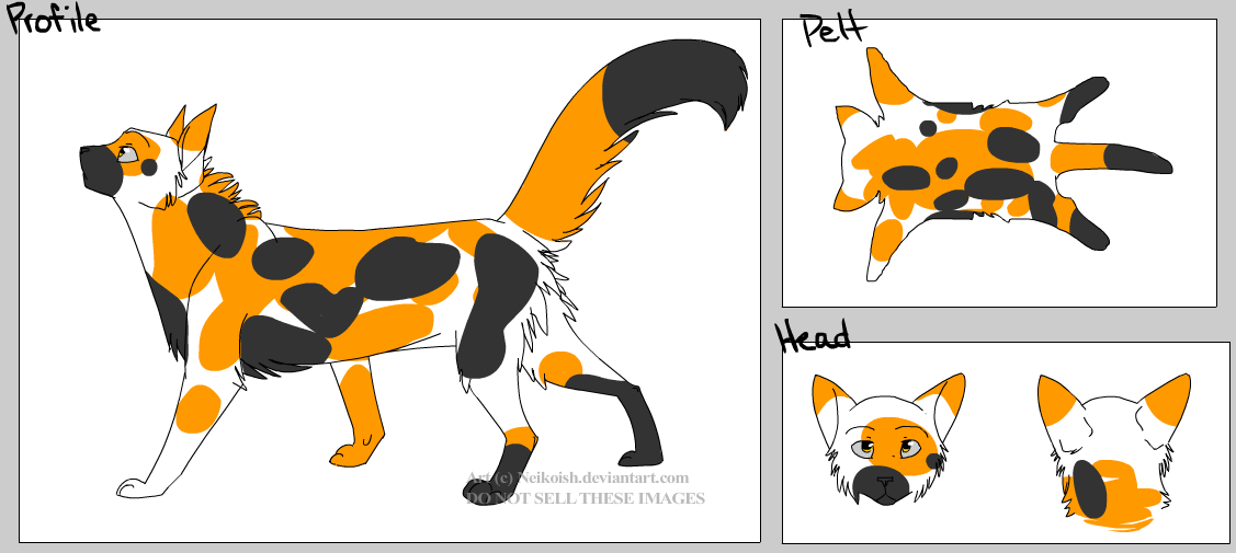 Dreamfeather | IceClan Roleplaying Wiki | Fandom