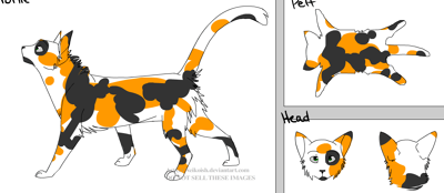 Leafpaw | IceClan Roleplaying Wiki | Fandom