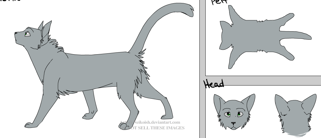 Winterheart | IceClan Roleplaying Wiki | Fandom