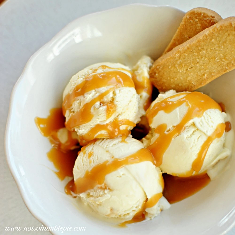 Hokey Pokey Ice Cream | Ice Cream Wiki | Fandom