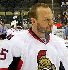 Sergei Gonchar | Ice Hockey Wiki | Fandom