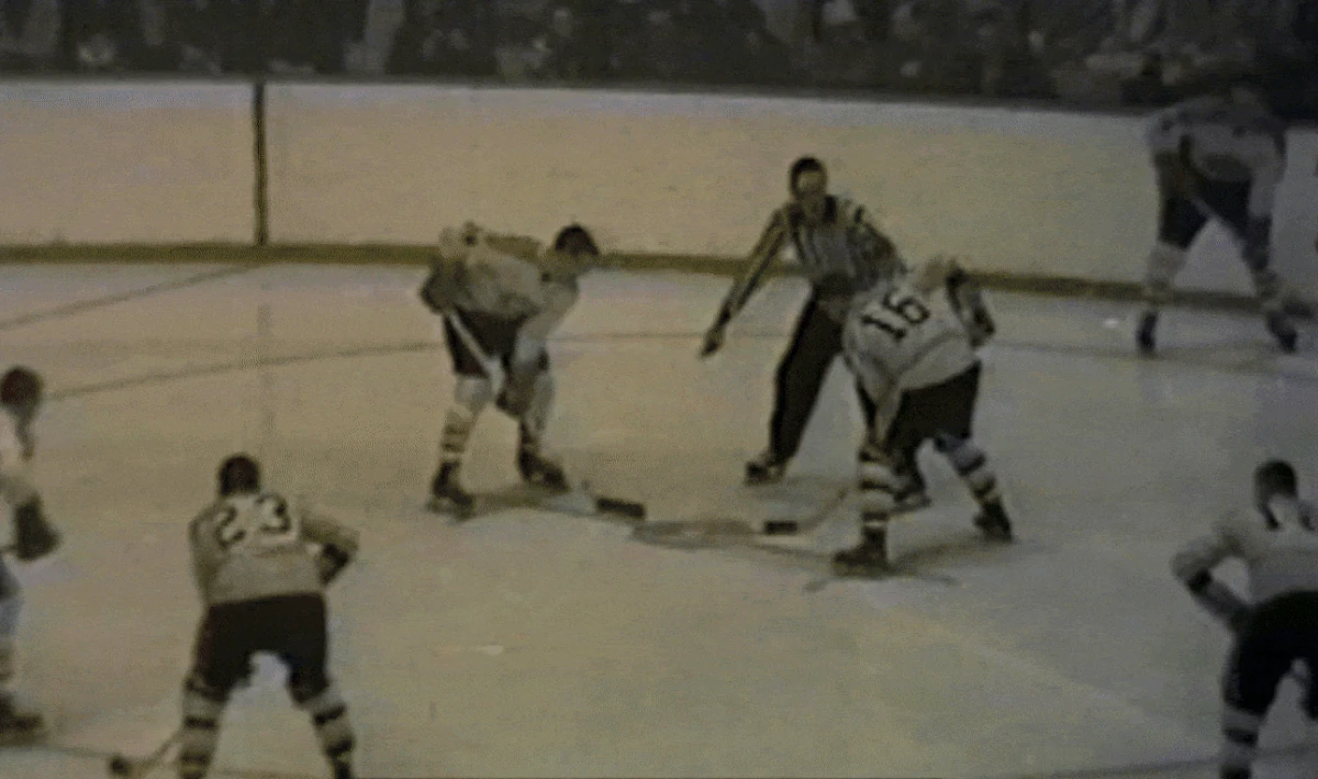 Terry Gray | Ice Hockey Wiki | Fandom