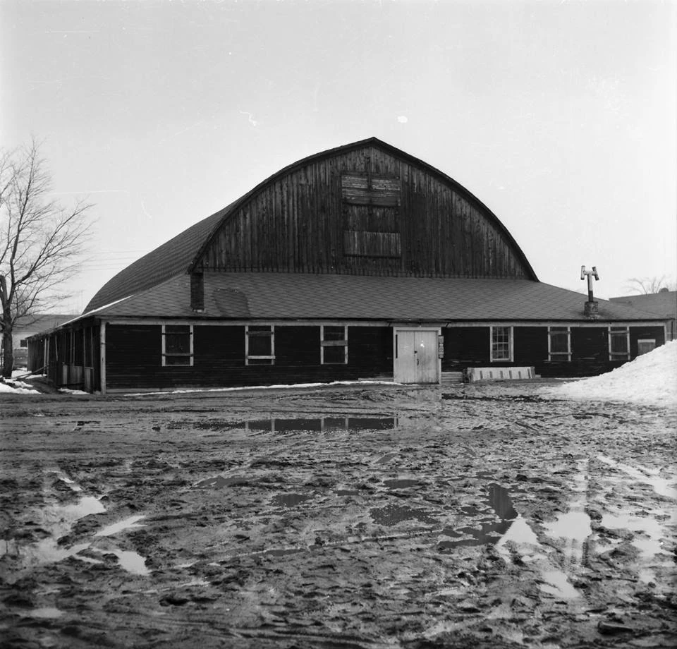 Middleton Rink | Ice Hockey Wiki | Fandom