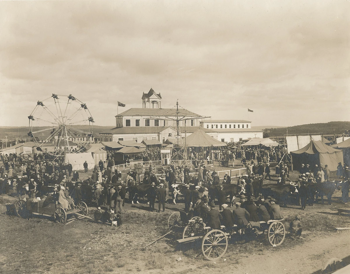 Exhibition Rink | Ice Hockey Wiki | Fandom