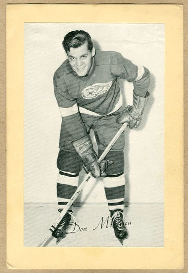 Don Morrison | Ice Hockey Wiki | Fandom