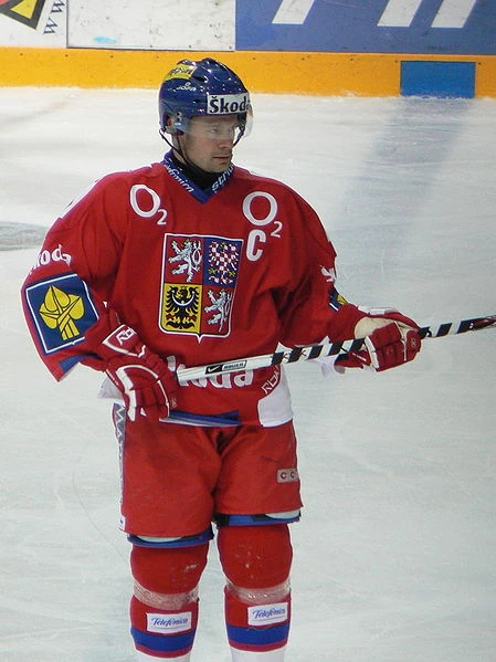 Radek Hamr | Ice Hockey Wiki | Fandom
