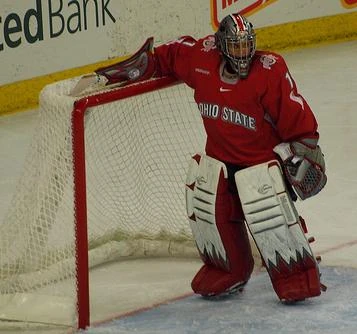 Lisa Steffes | Ice Hockey Wiki | Fandom