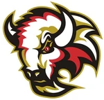 Basingstoke Bison | Ice Hockey Wiki | Fandom
