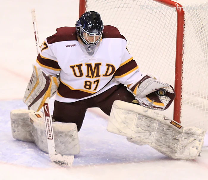 Jenny Harss | Ice Hockey Wiki | Fandom