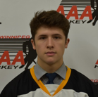 Luc Masse | Ice Hockey Wiki | Fandom