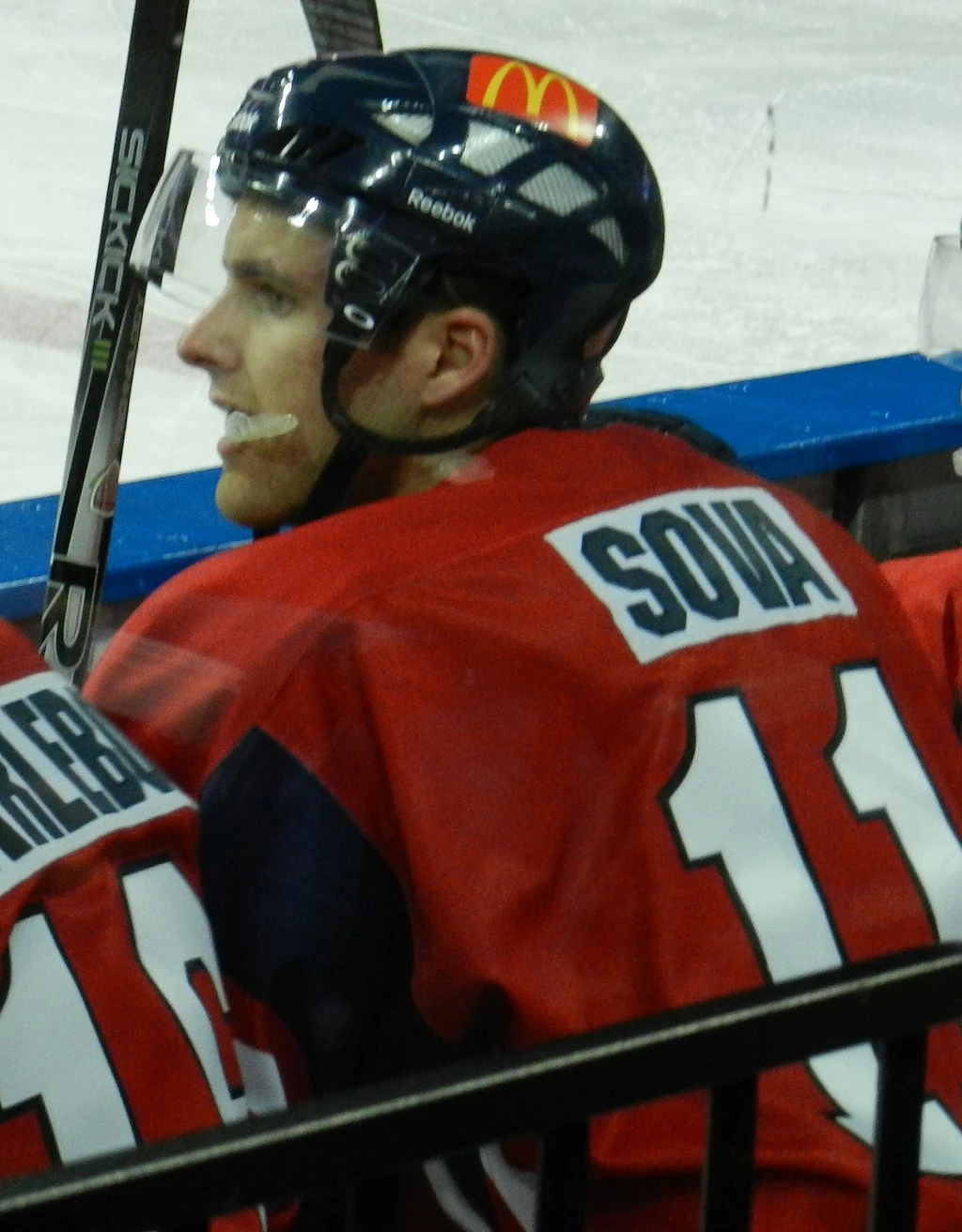 Joe Sova | Ice Hockey Wiki | Fandom