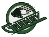 Granby Bisons | Ice Hockey Wiki | Fandom
