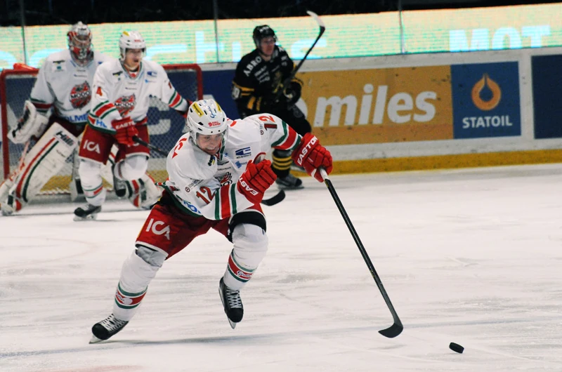 Dave Spina | Ice Hockey Wiki | Fandom