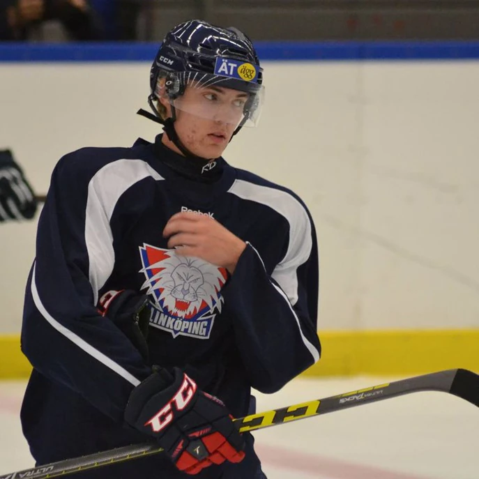 Peter Hansson | Ice Hockey Wiki | Fandom