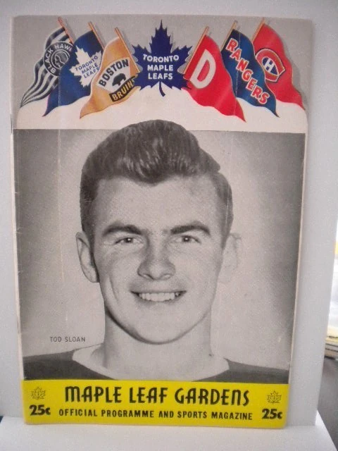 Tod Sloan | Ice Hockey Wiki | Fandom