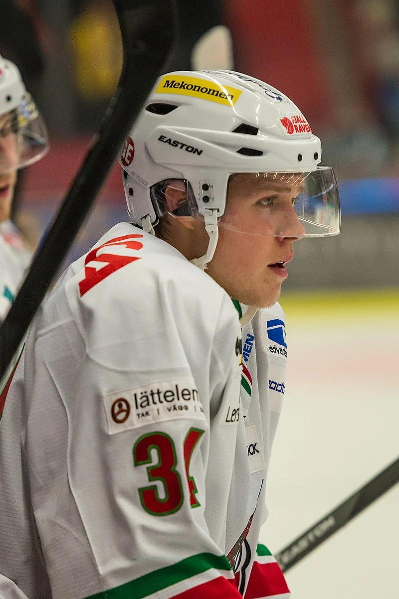 Christopher Bengtsson | Ice Hockey Wiki | Fandom